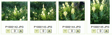 Anybody familiar with Canon Easy-PhotoPrint Ex for 6x4 Photos? | Page 2 ...